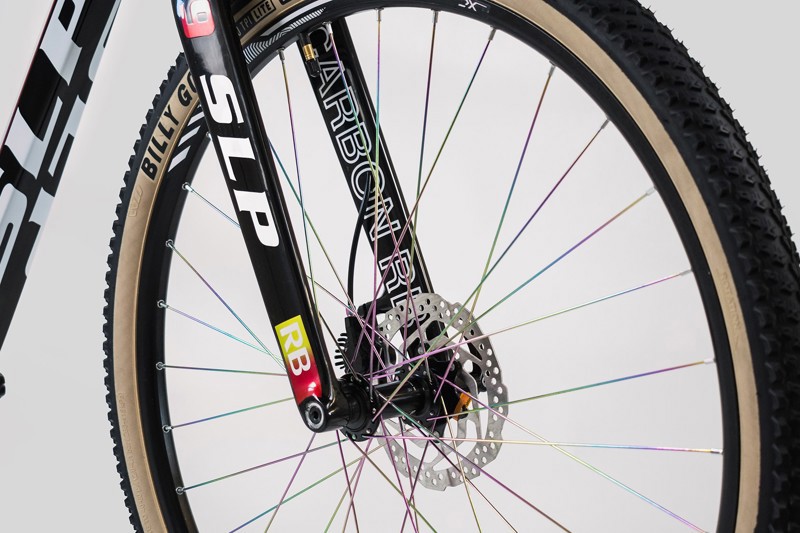 BICICLETA SLP MTB CARBON RB R29 T17.5 - SLP BICICLETAS - Megatone