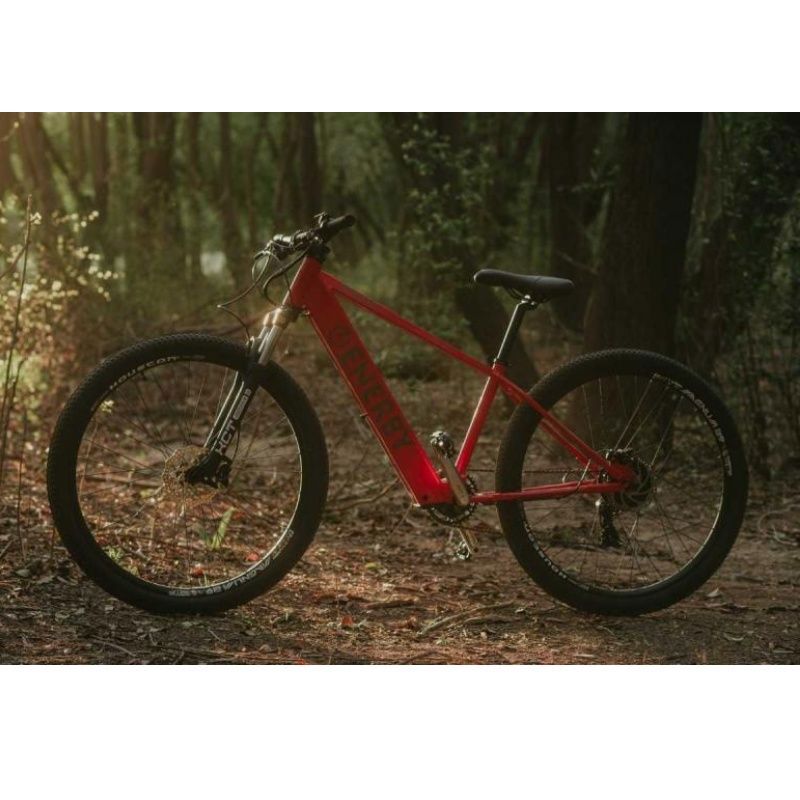 BICICLETA EPAC - MAGNET R29 - COLOR ROJA - ENERGY BICICLETAS ELECTRICAS ...