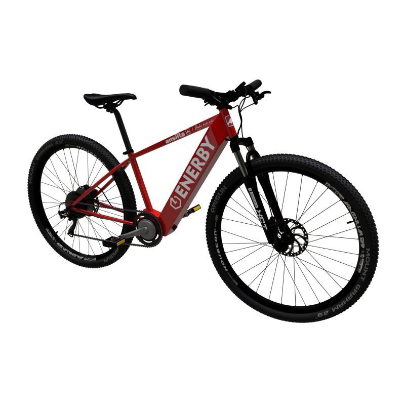 BICICLETA EPAC - MAGNET R29 - COLOR ROJA - ENERGY BICICLETAS ELECTRICAS ...