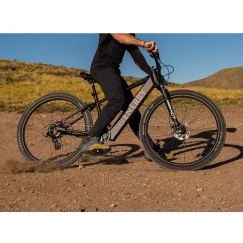 BICICLETA EPAC - MAGNET R29 - COLOR NEGRA - ENERGY BICICLETAS ...