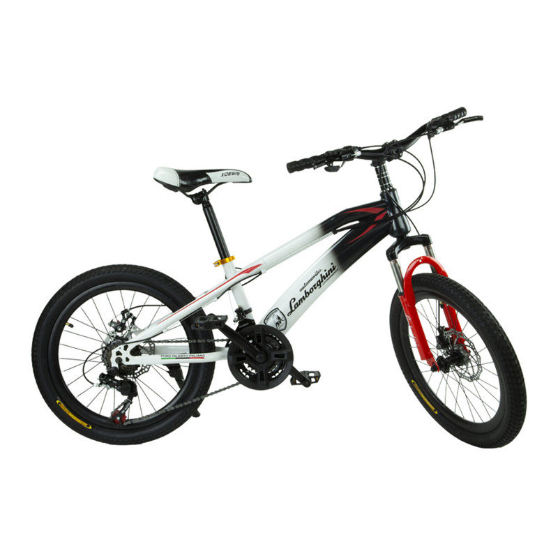 Mountain Bike 21 Velocidades Rodado 20 Lamborghini - LAMBORGHINI ...