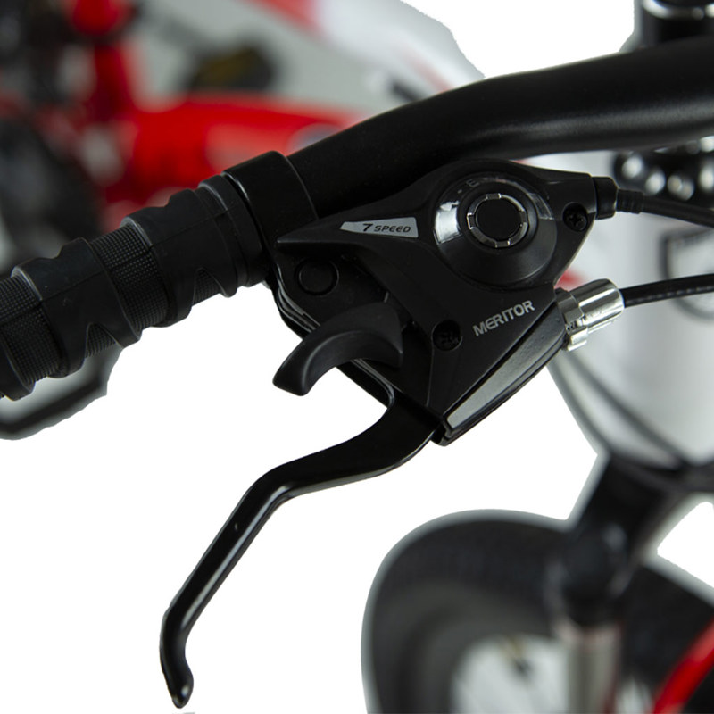 Mountain Bike 21 Velocidades Rodado 20 Lamborghini - LAMBORGHINI ...