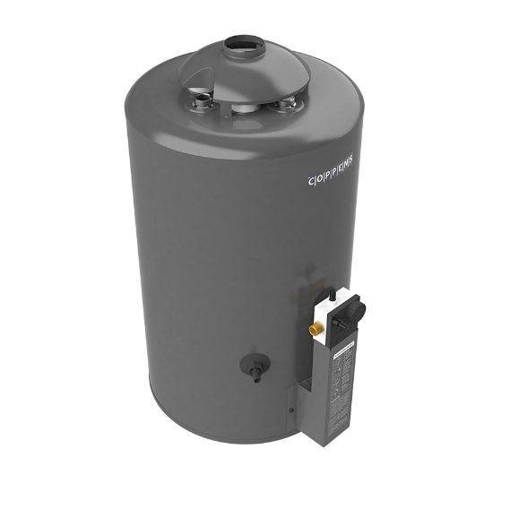 TERMOTANQUE A GAS COPPENS GMAX - 50 LTS PIE CARGA SUPINF 310 LTSHR GAS ...